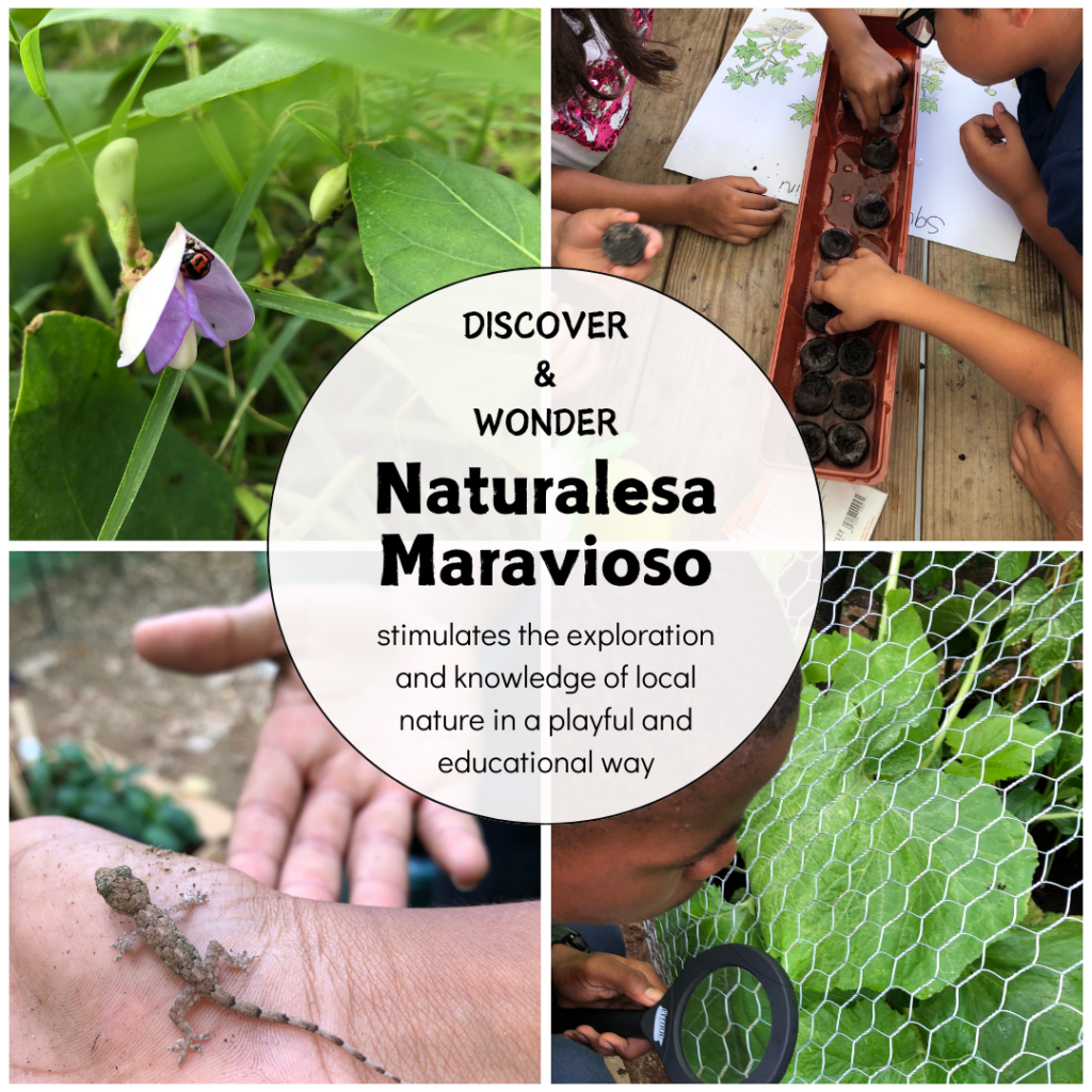 Wonder of Nature Box - Muriel's Kitchen Foundation